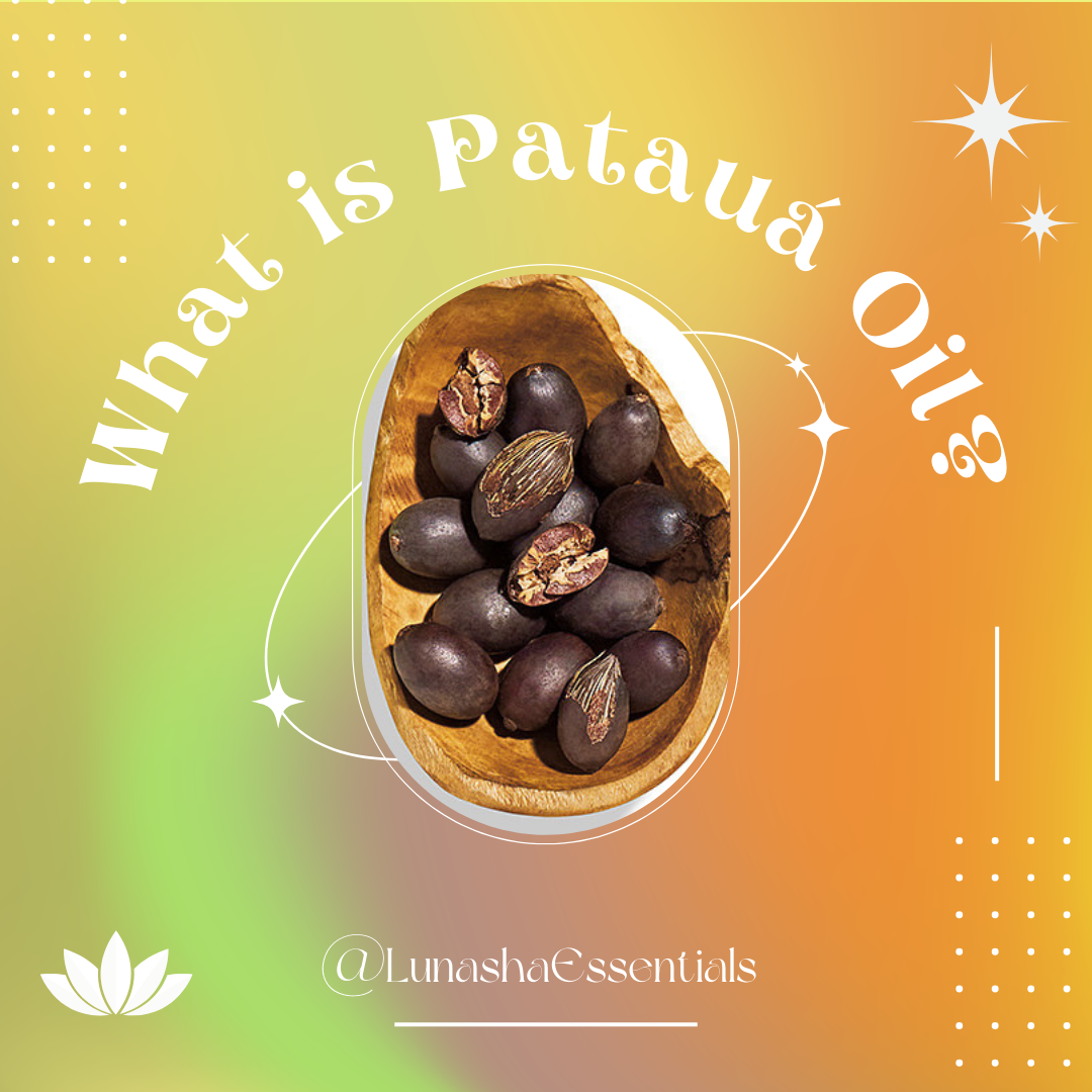 What are the benefits of Pataua (Beraca) oil for hair? – LUNÄSHA Essentials